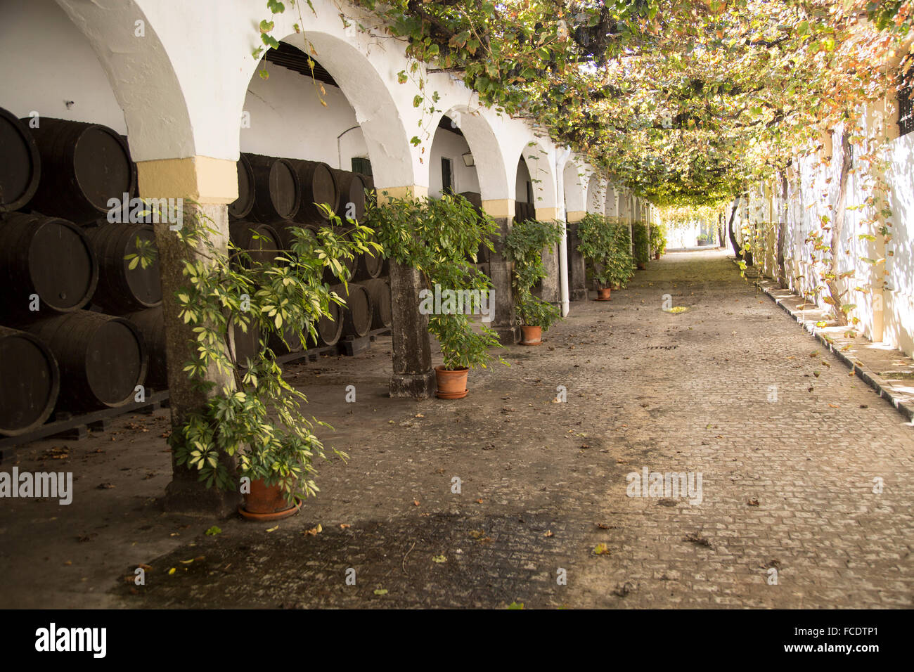 Domecq wine cellars hi-res stock photography and images - Alamy