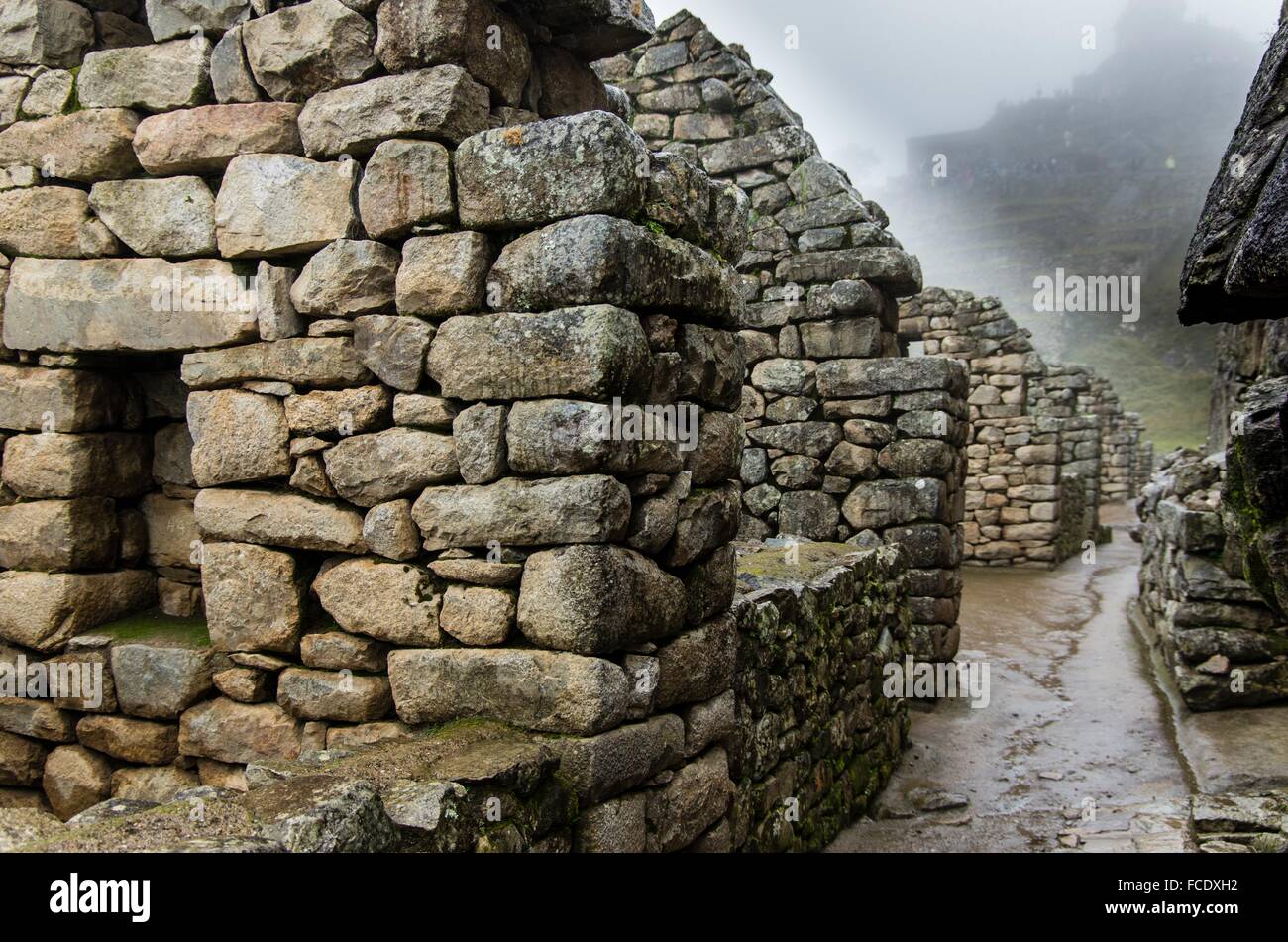 Hanan hi-res stock photography and images - Alamy