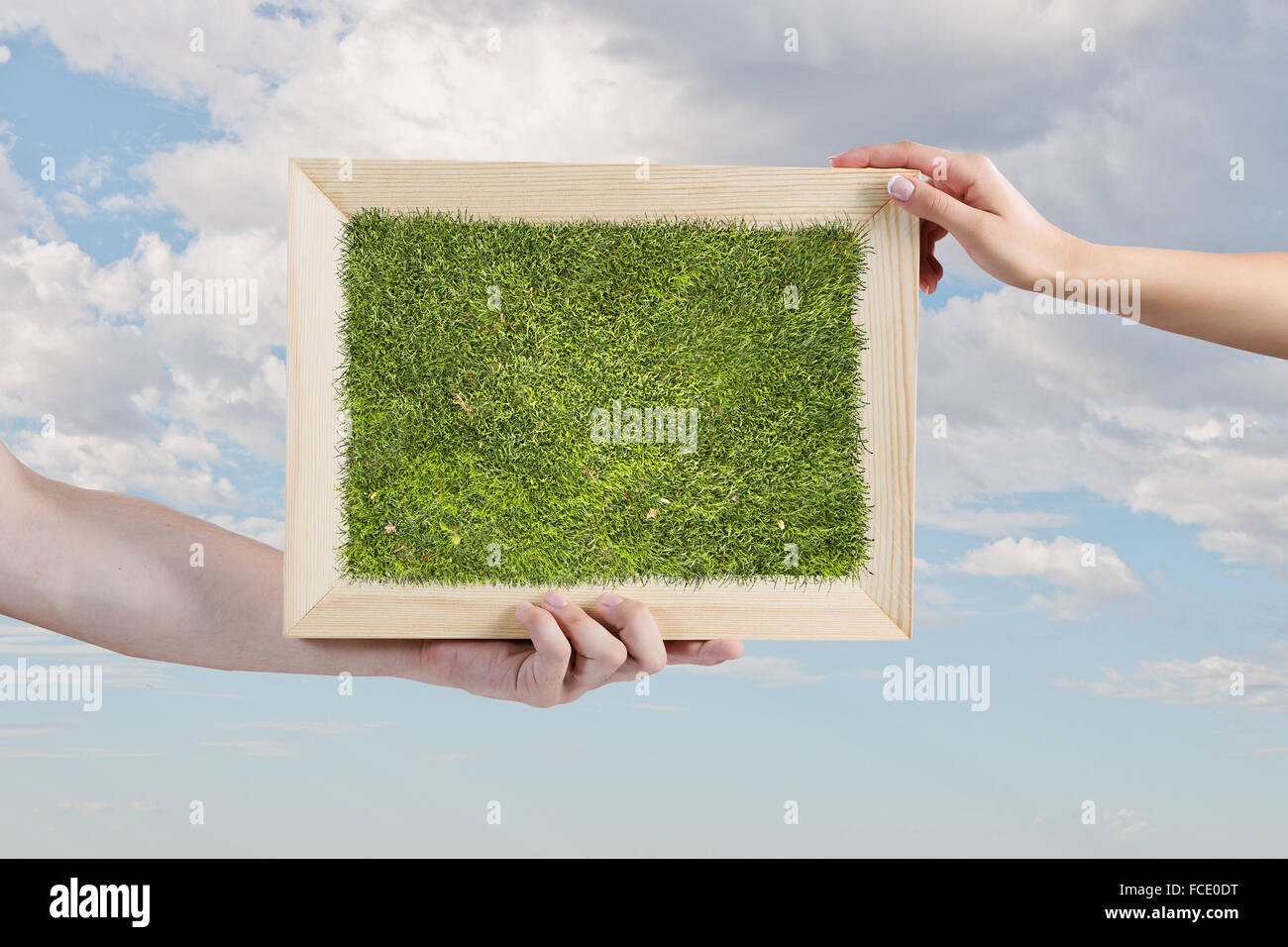 Close up of human hand holding frame Stock Photo - Alamy
