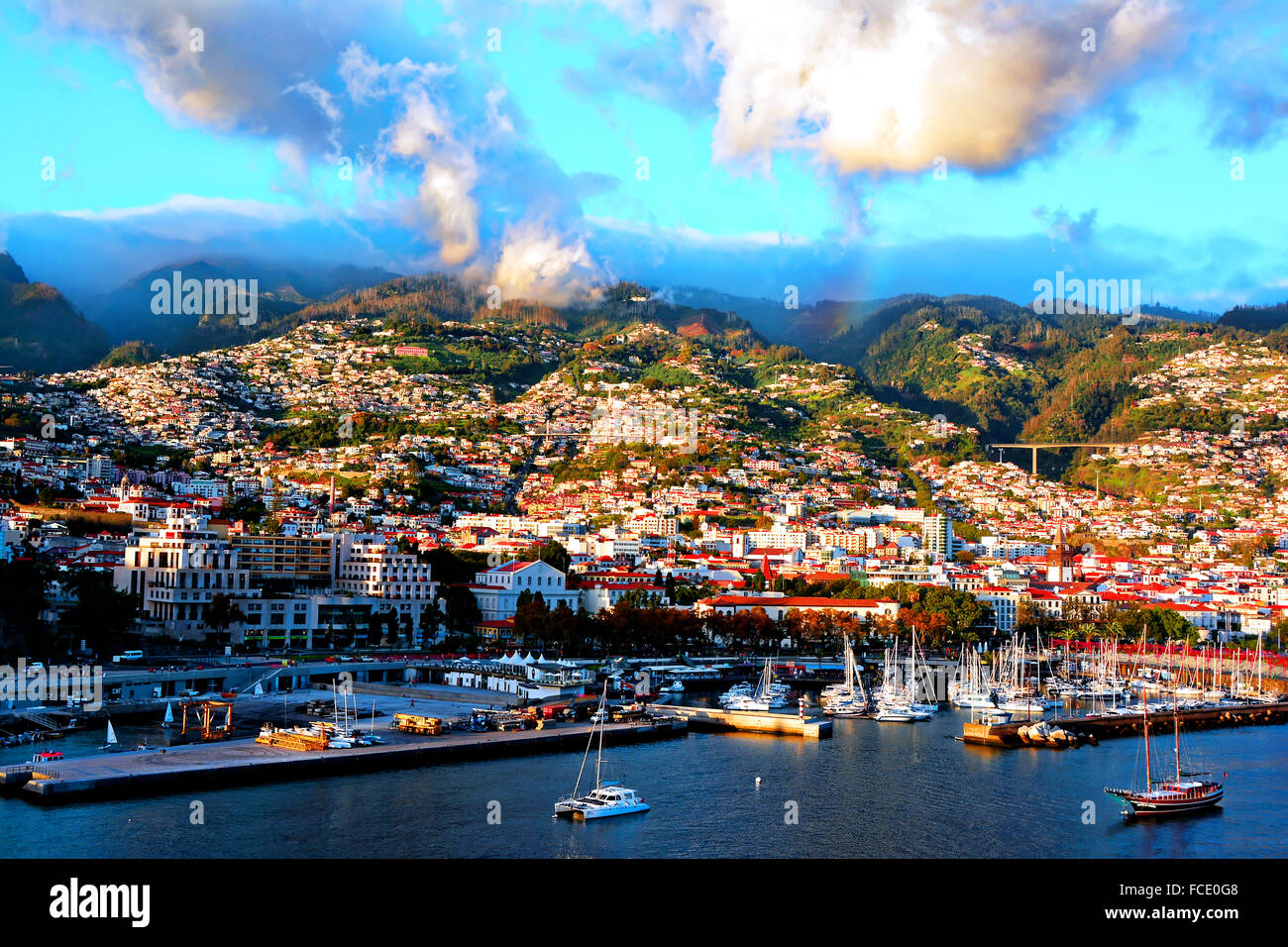 Madeira Funchal harbour and marina yachts Stock Photo - Alamy