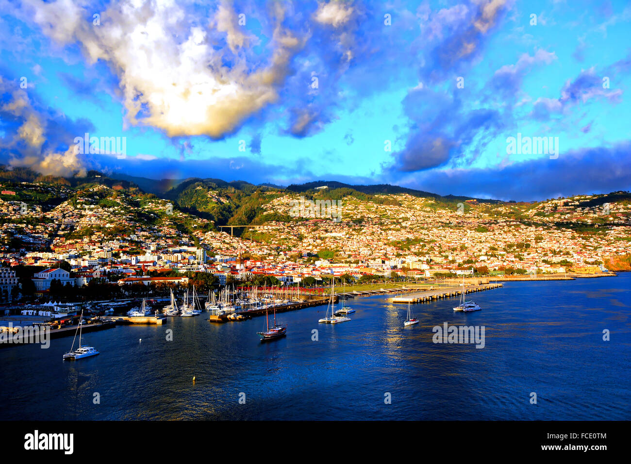 Madeira Funchal harbour and marina yachts Stock Photo - Alamy