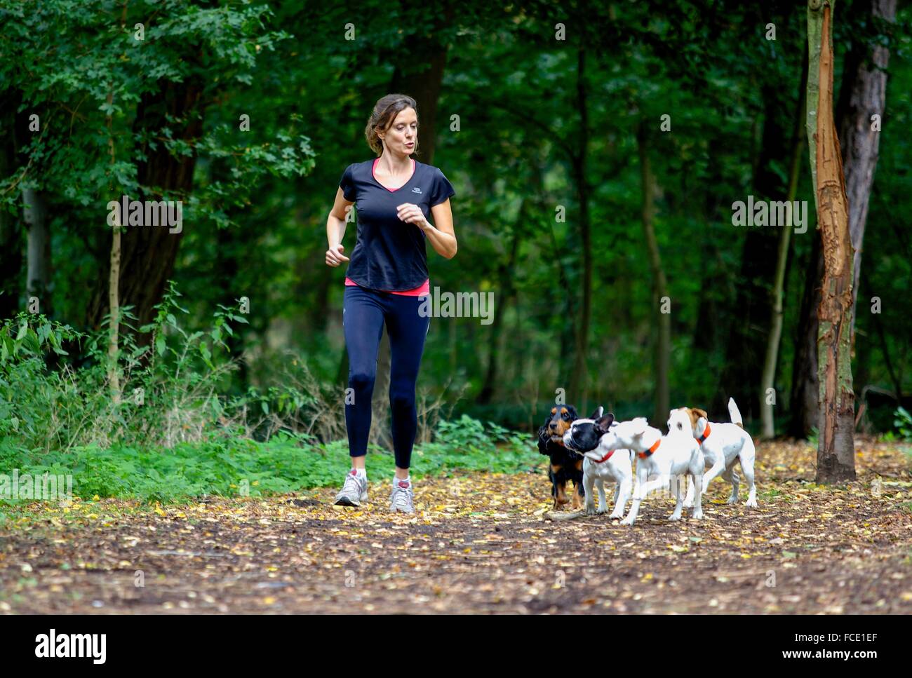 Young woman running with her dogs Stock Photo - Alamy