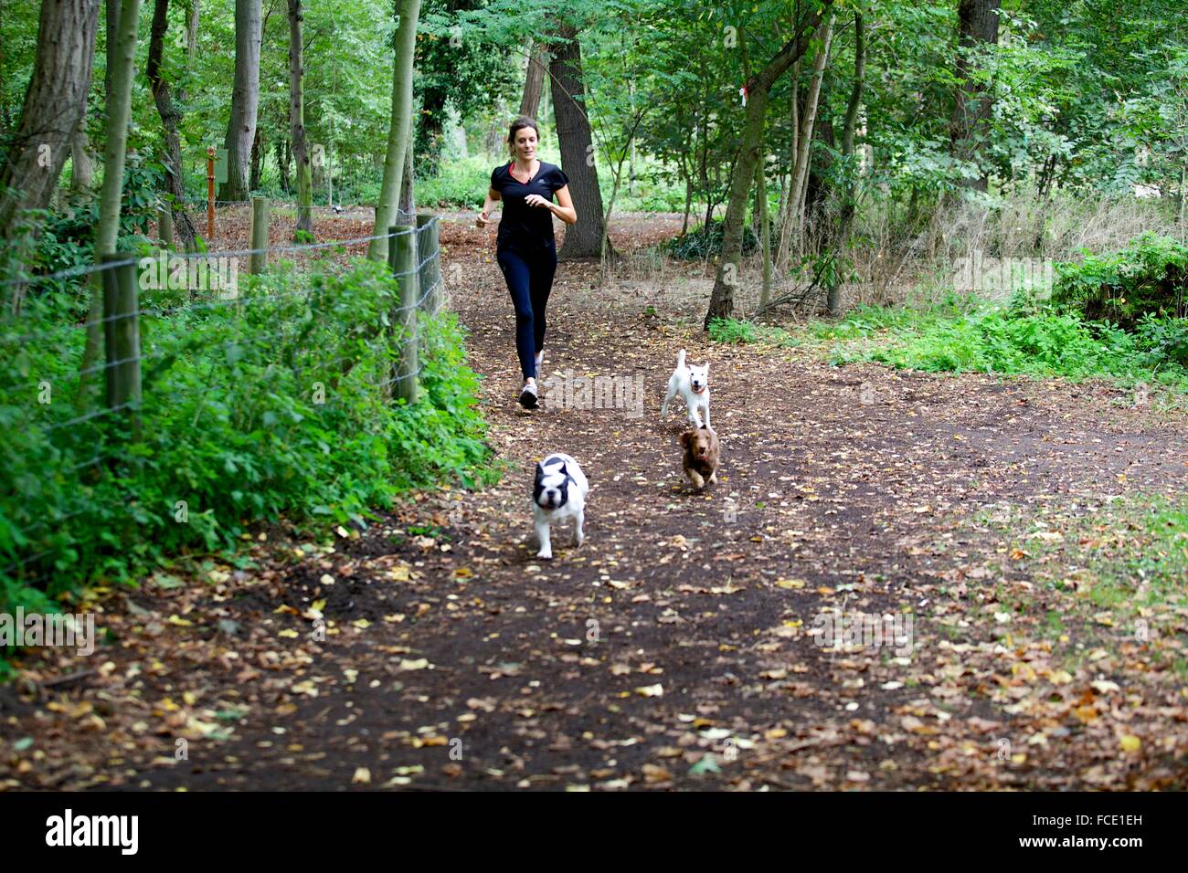 Females running with dog hi-res stock photography and images - Alamy