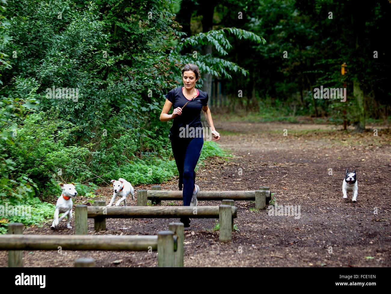 Young woman running with her dogs Stock Photo - Alamy
