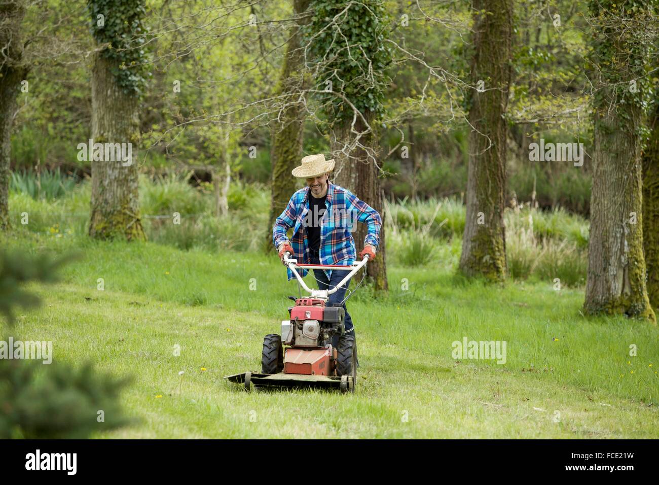 Man mowing the grass Stock Photo - Alamy