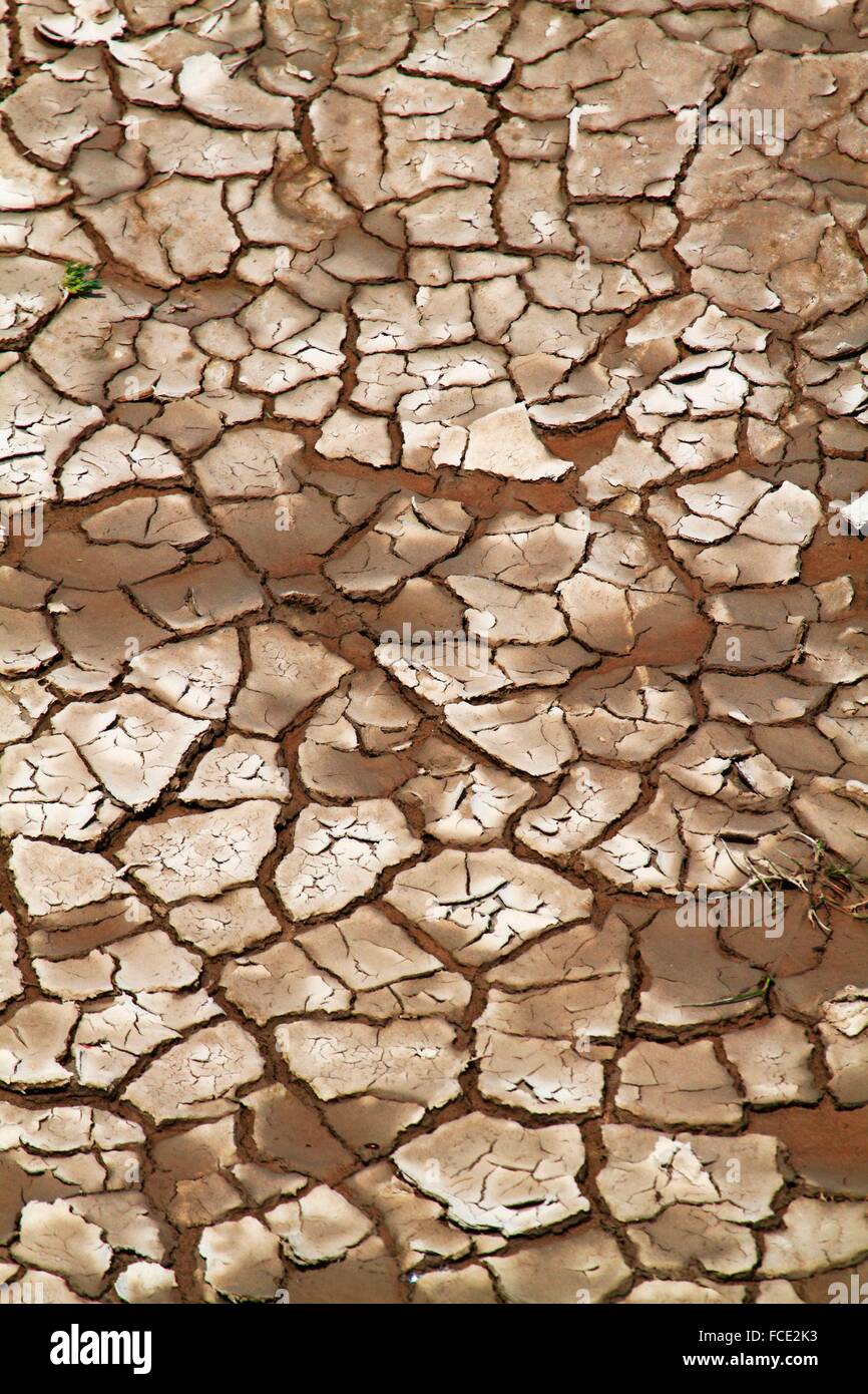 Arid ground hi-res stock photography and images - Alamy
