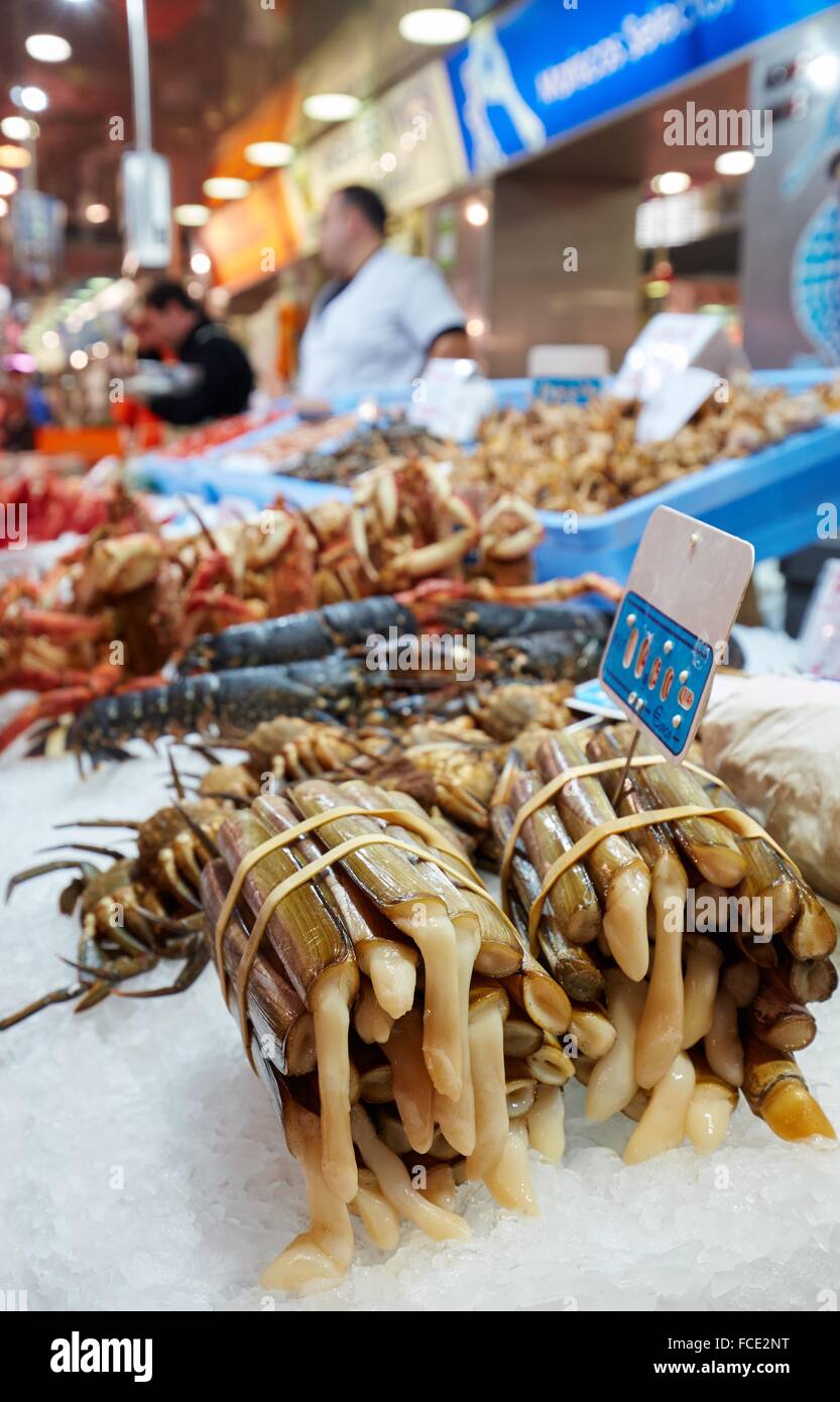 Razor shell ensis arcuatus hi-res stock photography and images - Alamy