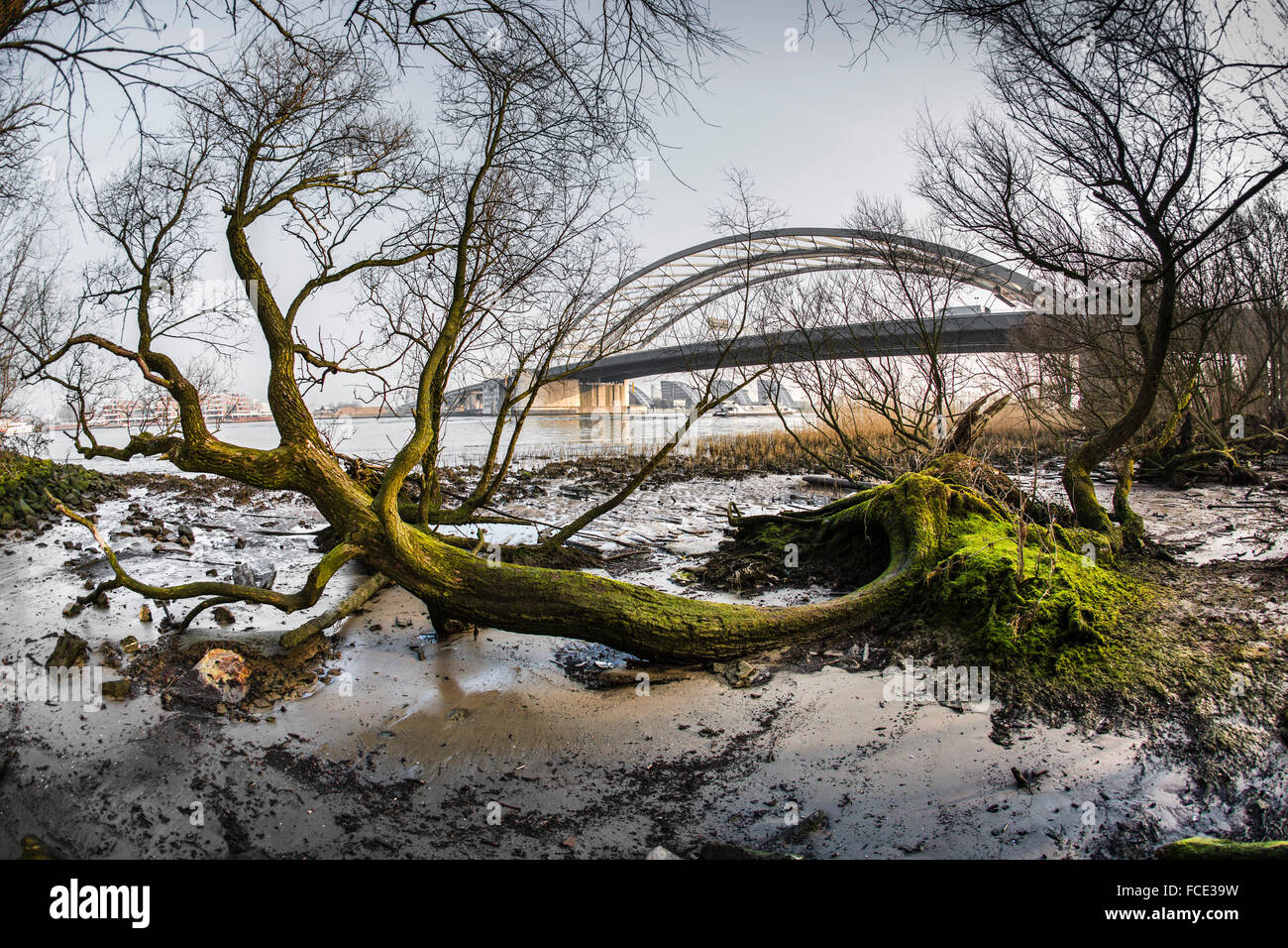 Netherlands, Rotterdam, Nature reserve called Eiland van Brienenoord ...