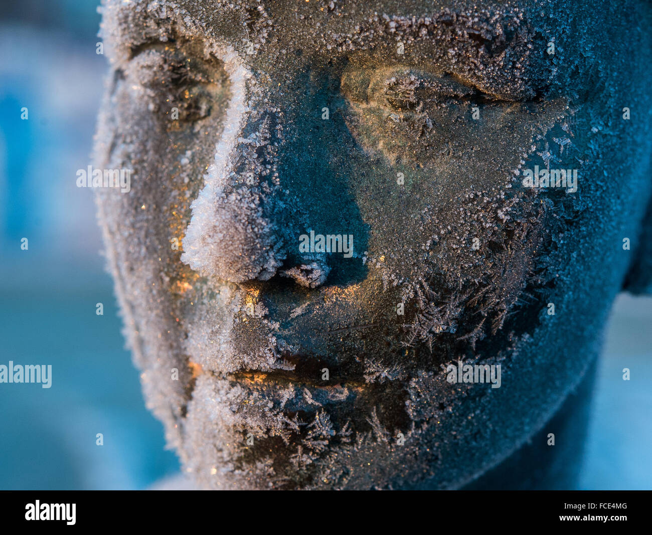Patrick cremer hi-res stock photography and images - Alamy