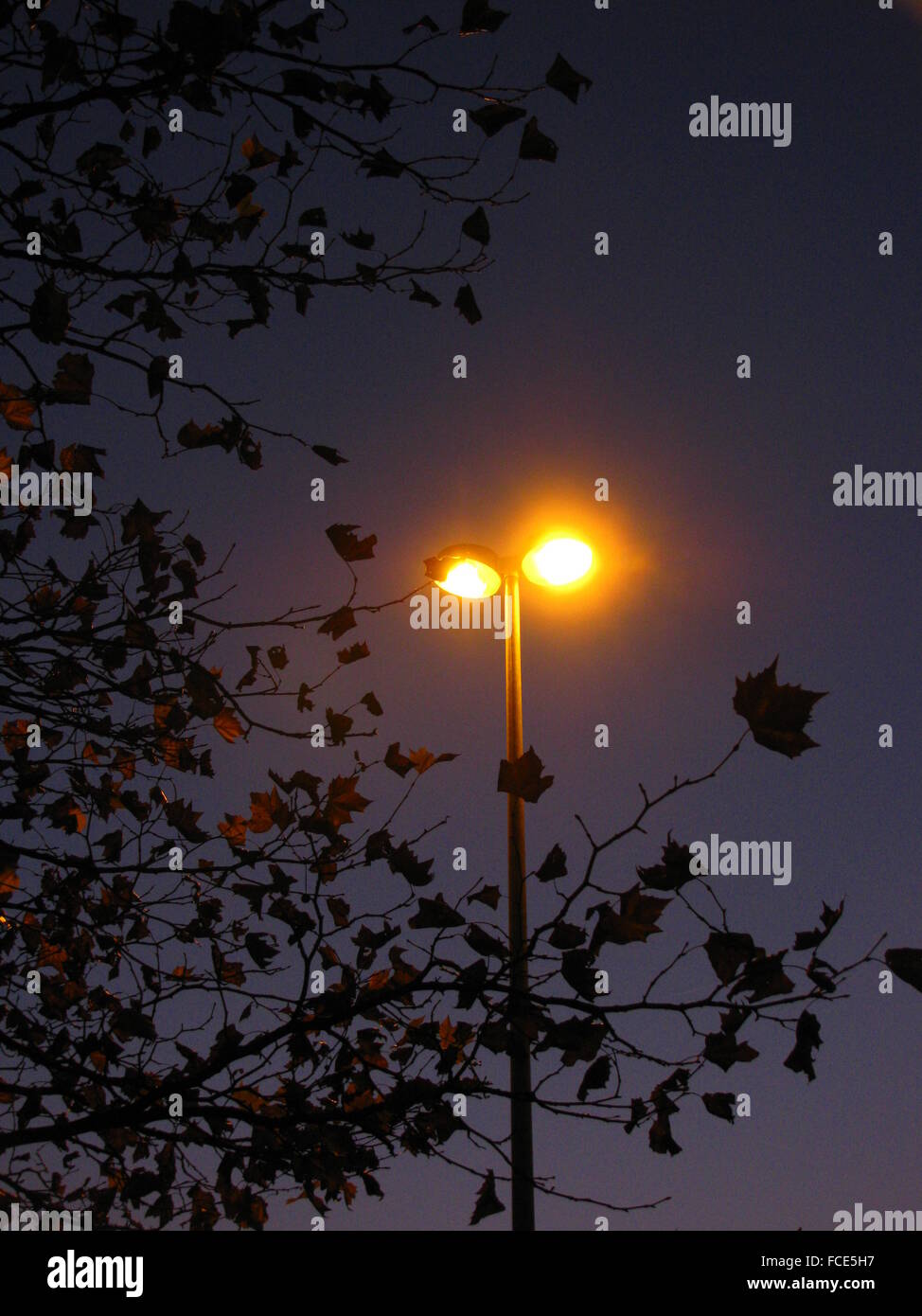 Lit Street Light At Night Stock Photo - Alamy
