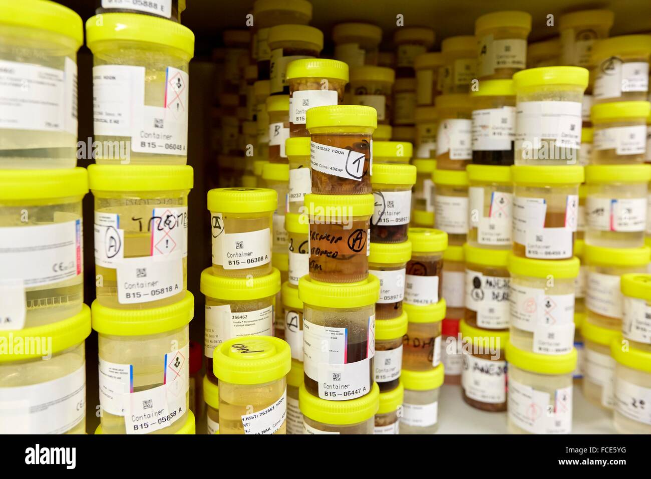 Sample storage hi-res stock photography and images - Alamy
