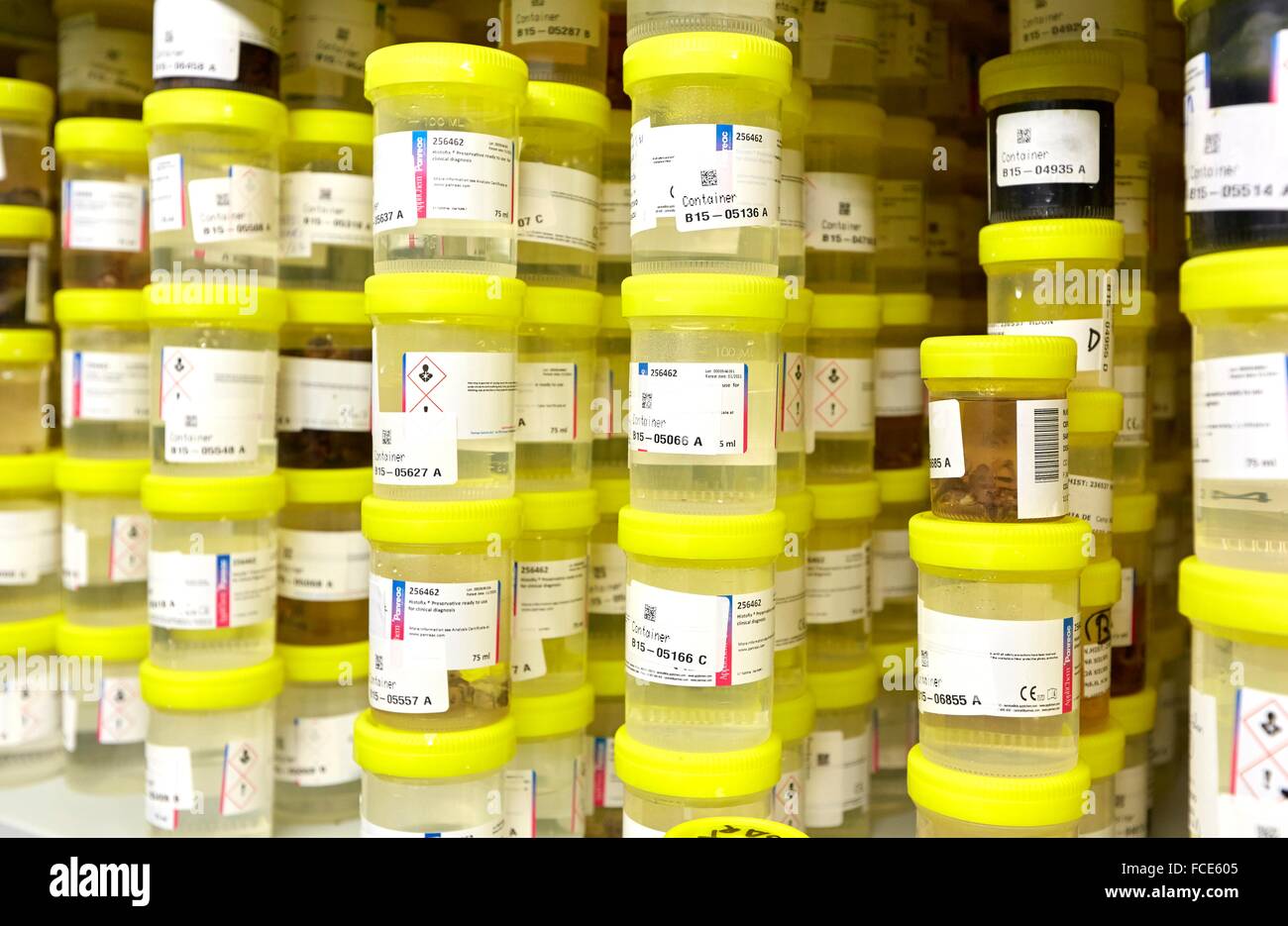 Sample Storage High Resolution Stock Photography and Images - Alamy