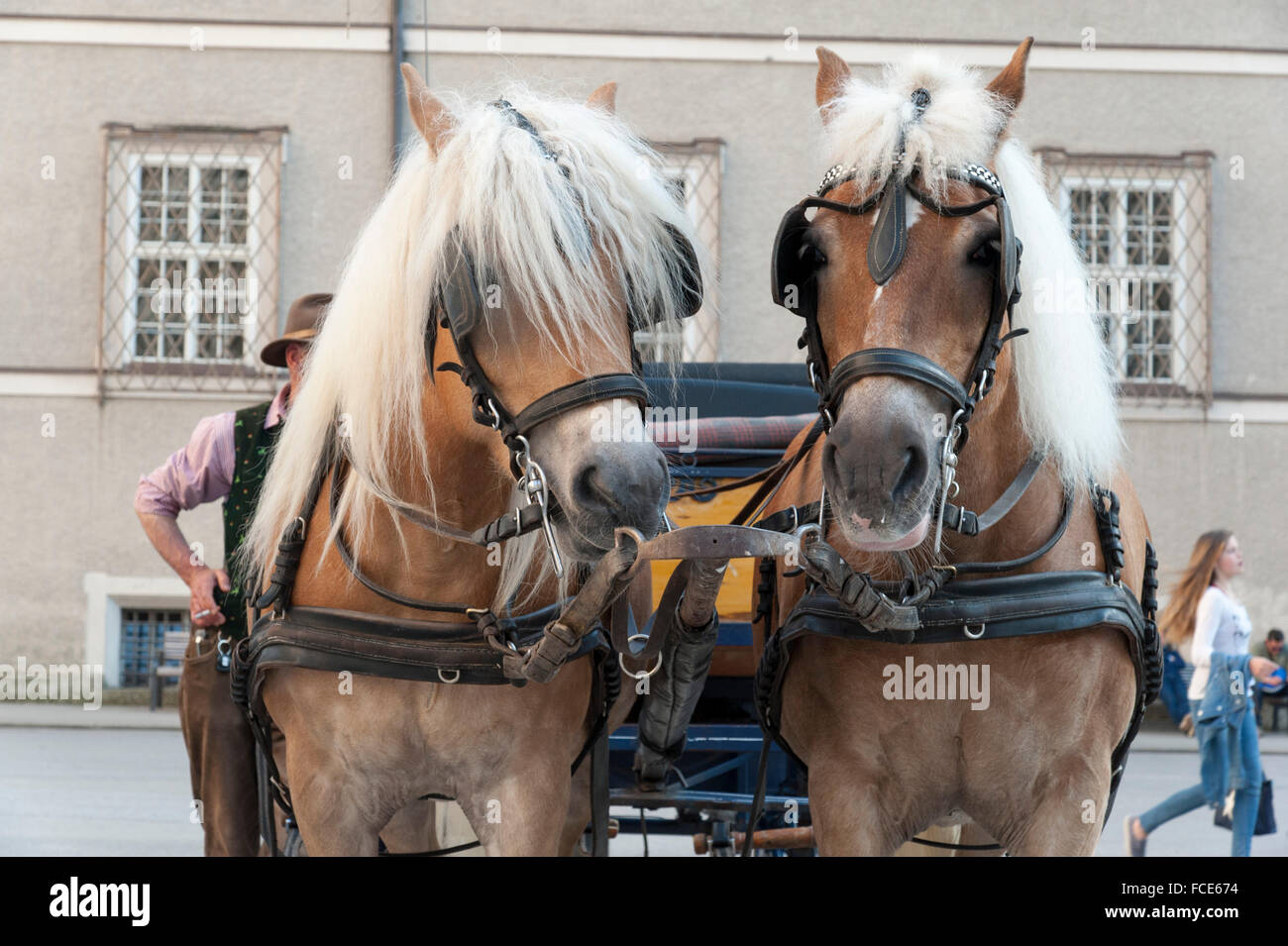 Fiaker in the Cathedral Square, the historic center of the city of ...