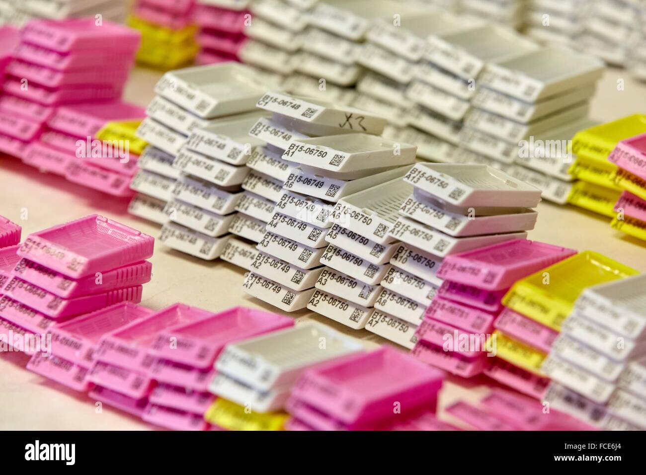 Sample identification hi-res stock photography and images - Alamy