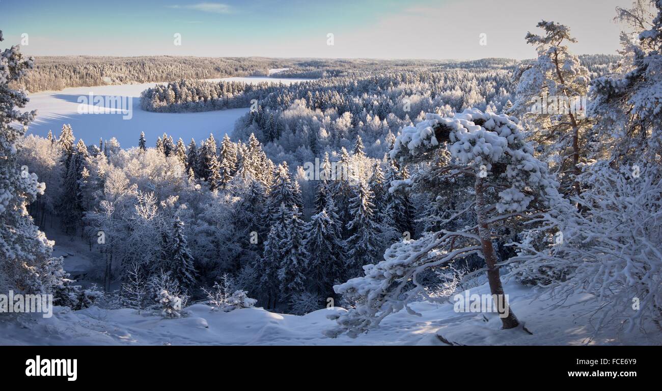 Snowy panorama landscape at Aulanko nature park in Finland. Icy lake ...