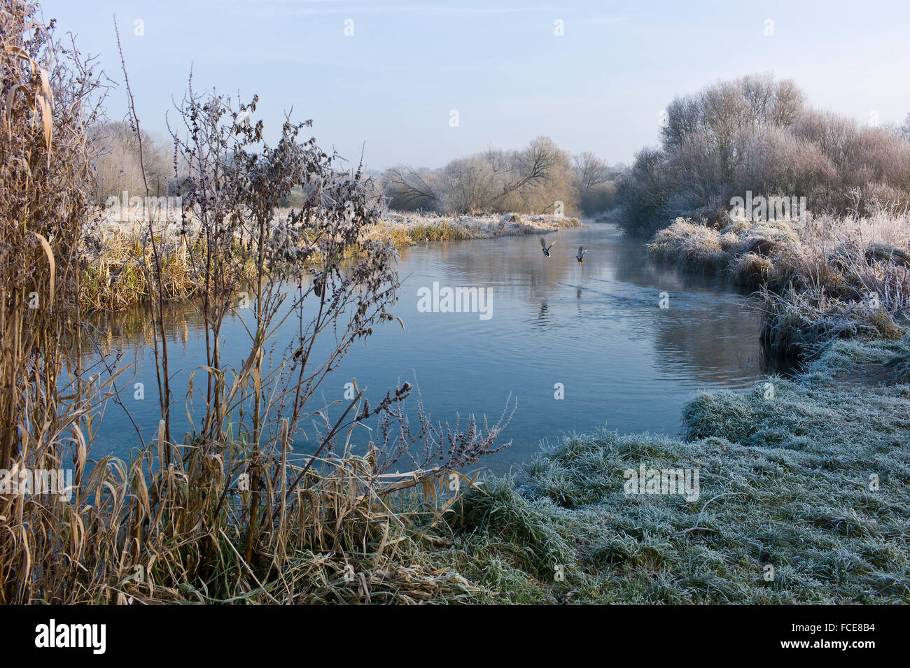 The River Test with a hard morning frost on the river banks at ...