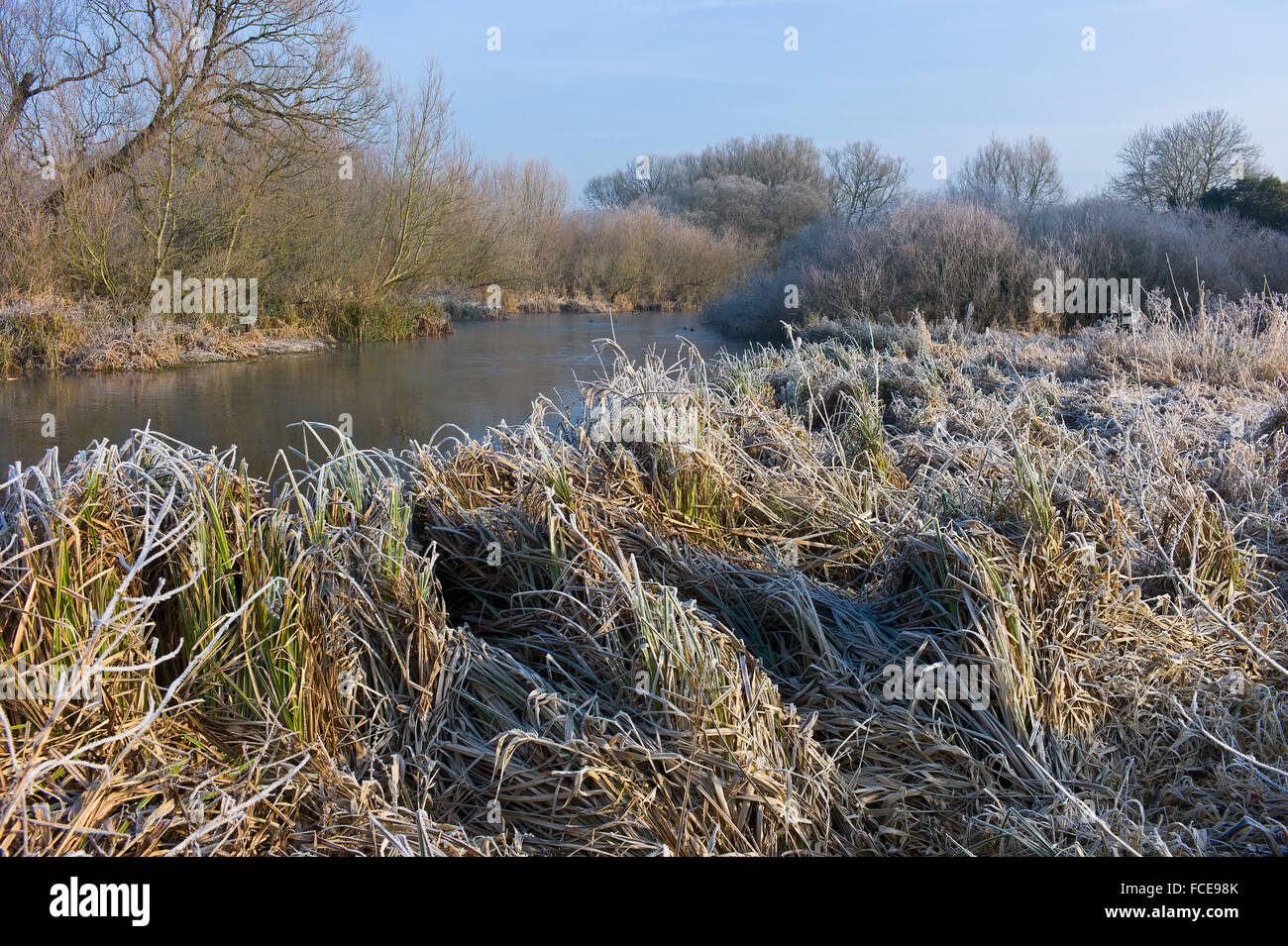 The River Test with a hard morning frost on the river banks at ...