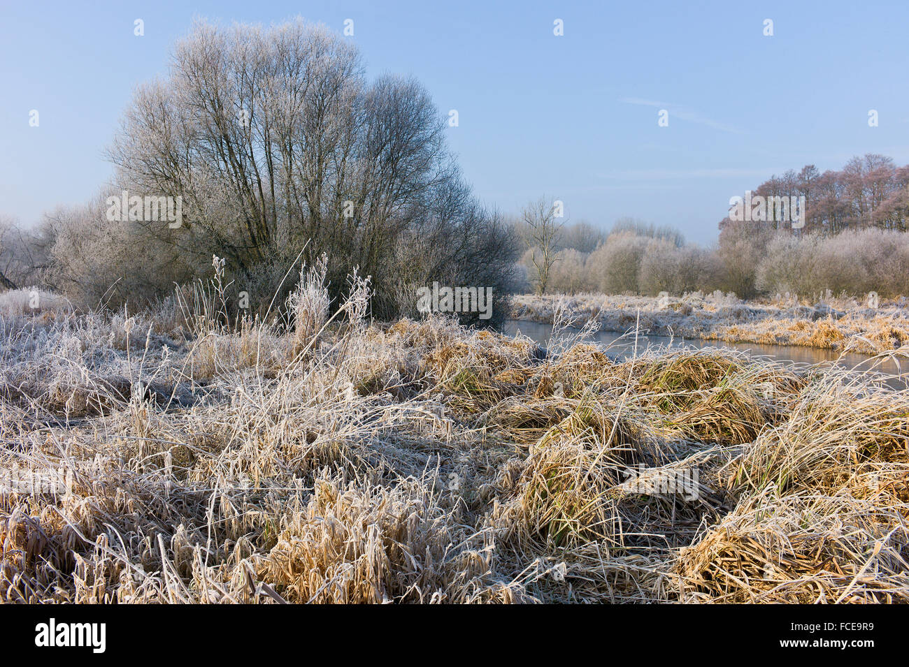 Longparish hi-res stock photography and images - Alamy