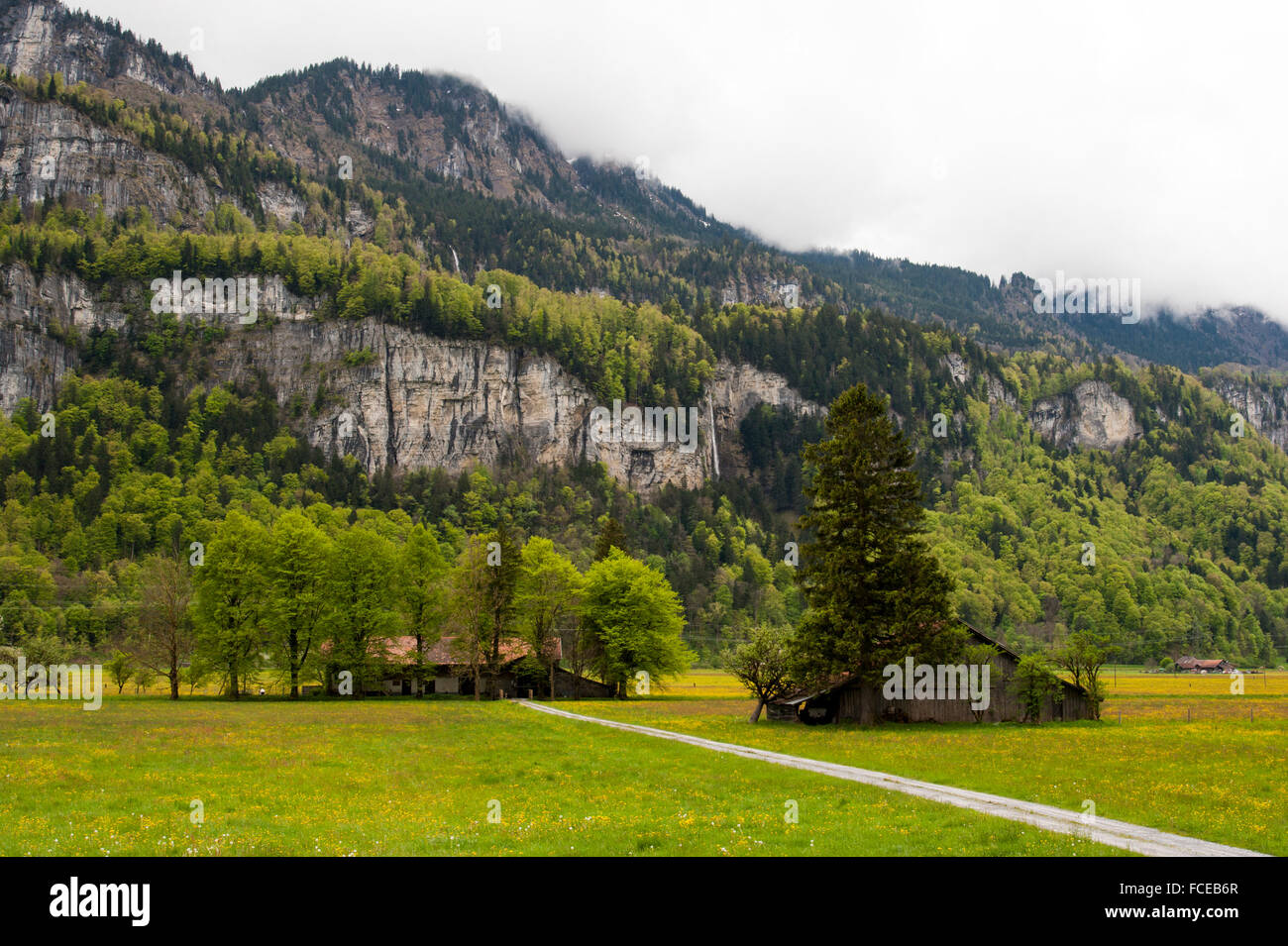 Barn, tree, rock, mountains, Bernese Oberland, Switzerland, Bernese ...
