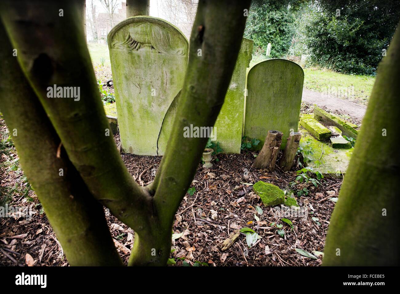 Tower hamlets cemetery park hi-res stock photography and images - Alamy