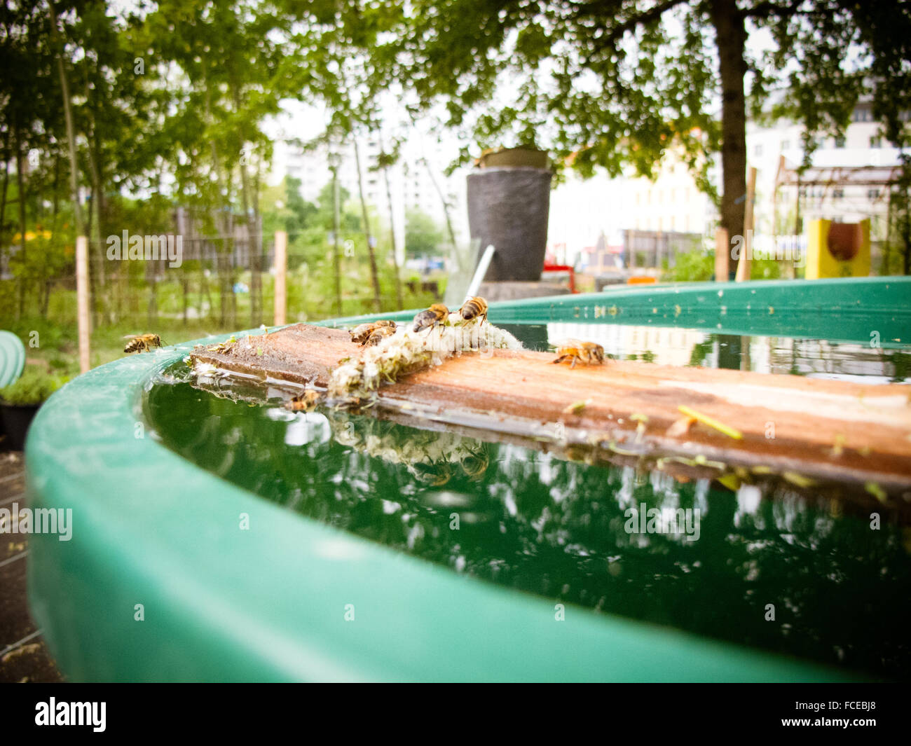 Plank In Reservoir With Insects Stock Photo - Alamy