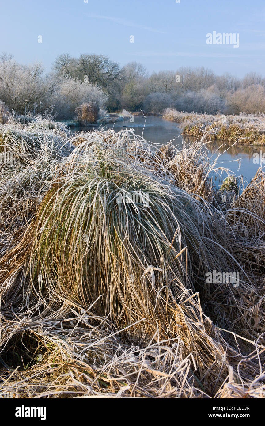 The River Test with a hard morning frost on the river banks at ...