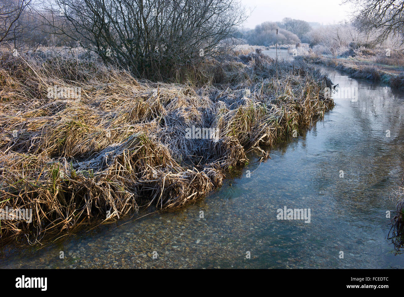 The River Test with a hard morning frost on the river banks at ...
