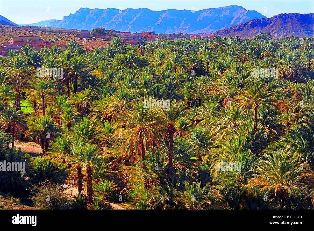Draa River Stock Photos & Draa River Stock Images - Alamy