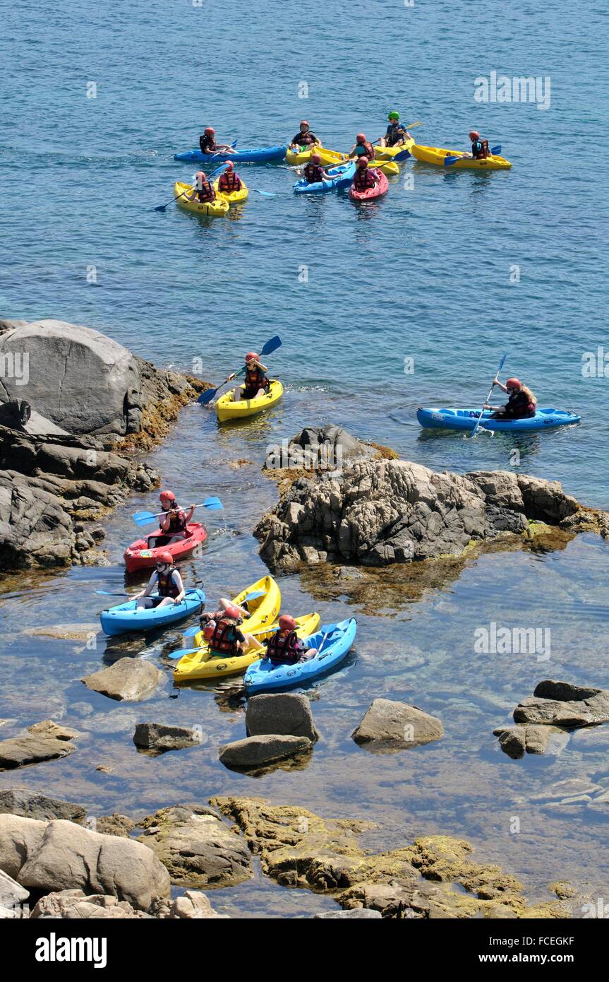 Double Bladed Stock Photos & Double Bladed Stock Images - Alamy
