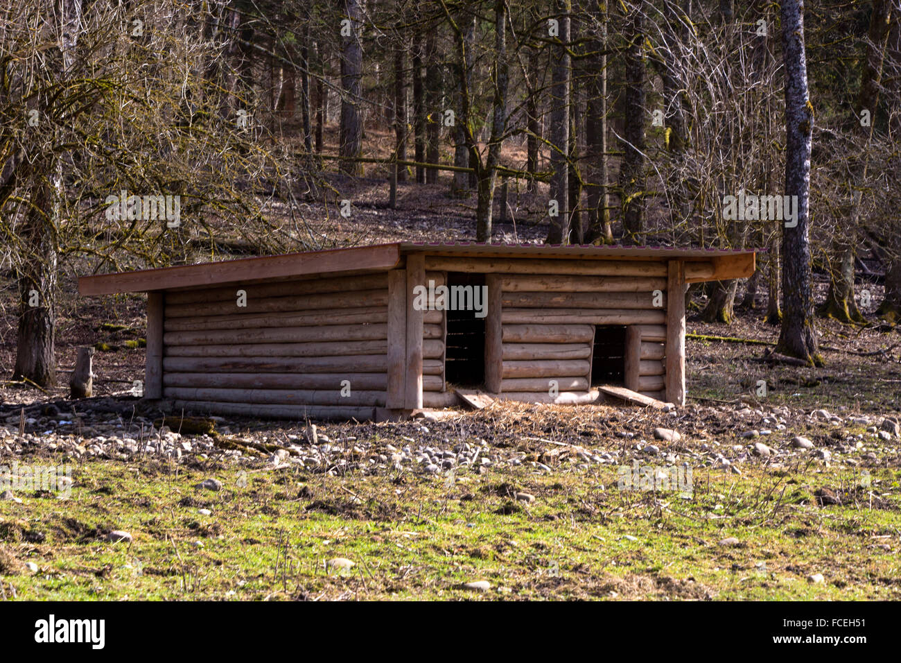 How Do Deer Shelter at Pamela Harvey blog