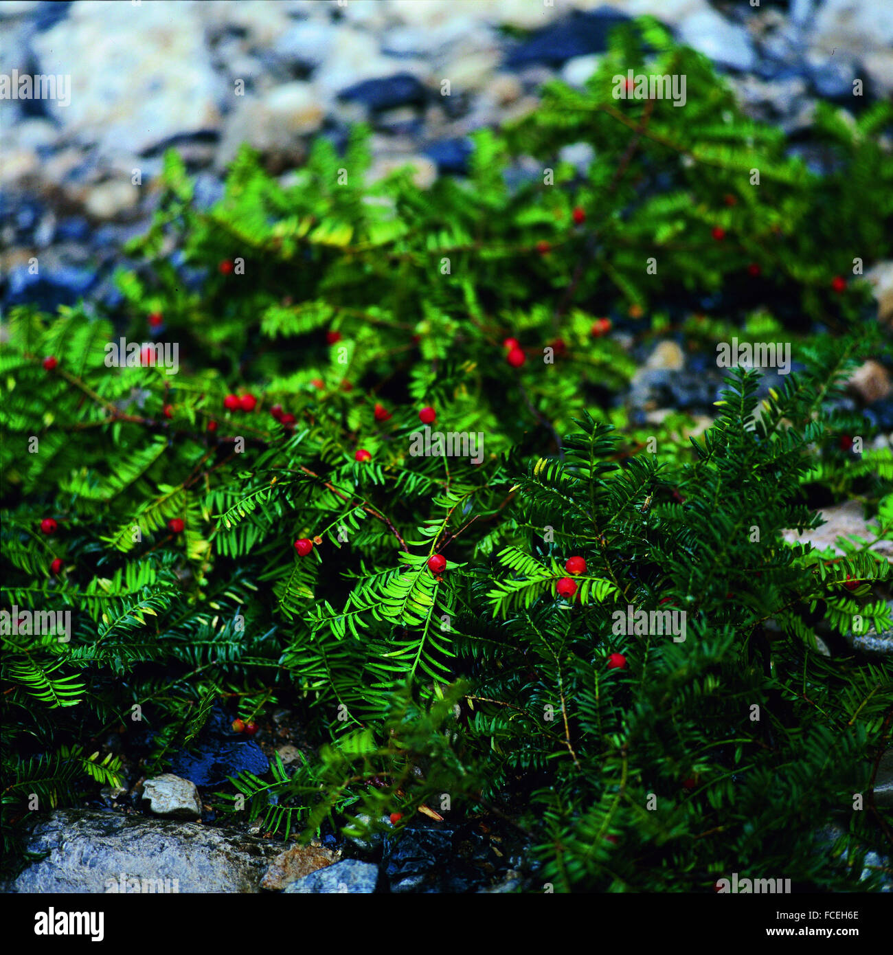 Zezhou county hi-res stock photography and images - Alamy