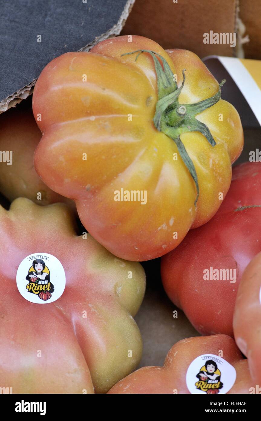 Tomato Capital High Resolution Stock Photography and Images - Alamy