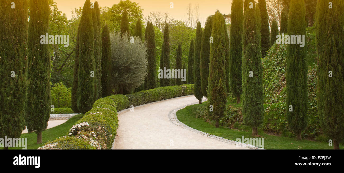 Footpath in a garden with cypresses. Horizontal Stock Photo - Alamy