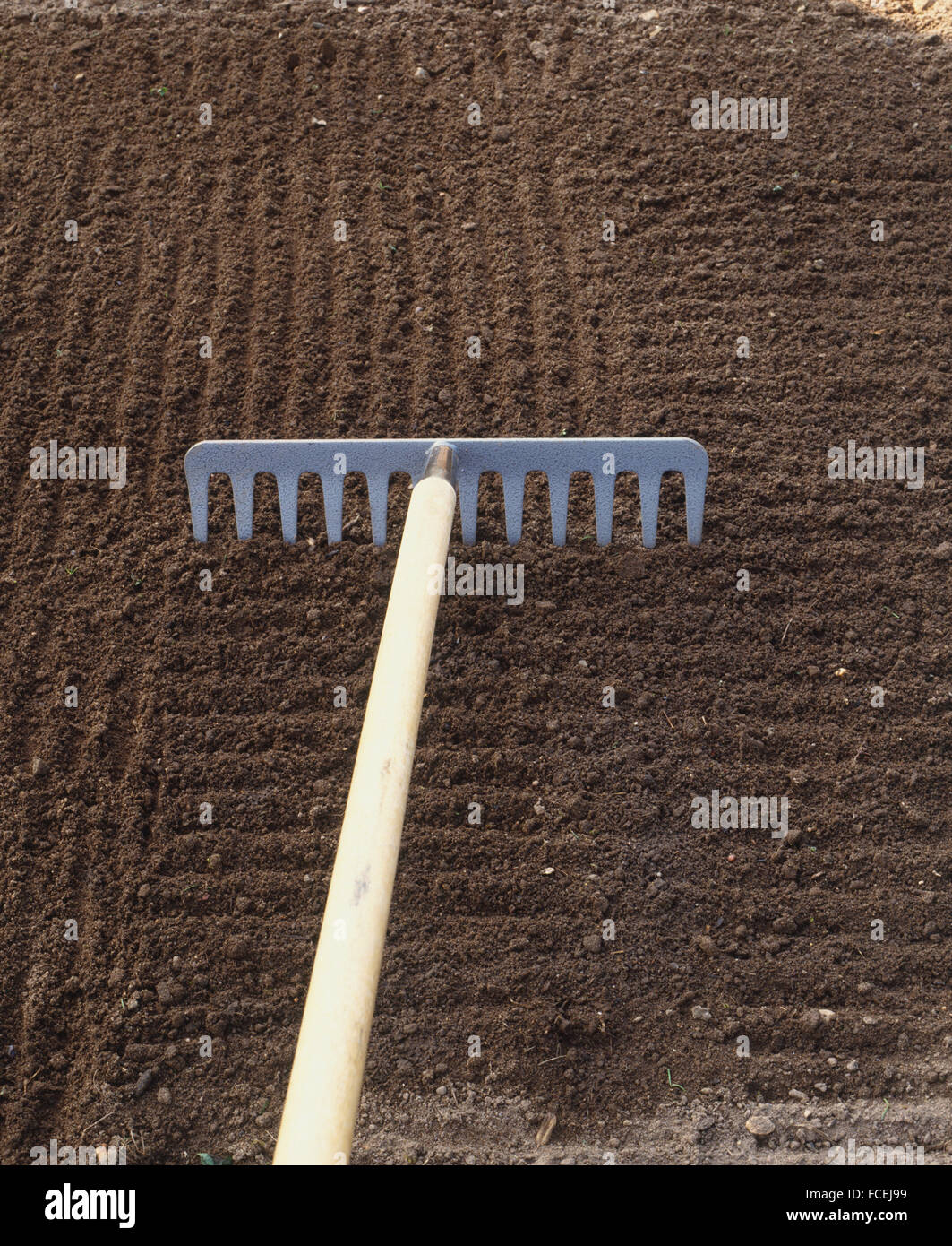 Raked Soil Seeds High Resolution Stock Photography and Images - Alamy