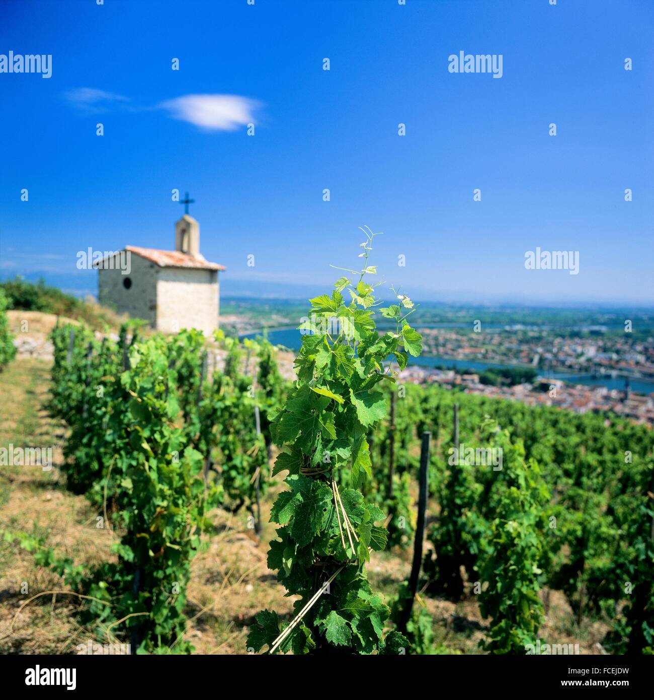 Tain Hermitage Stock Photos & Tain Hermitage Stock Images - Alamy