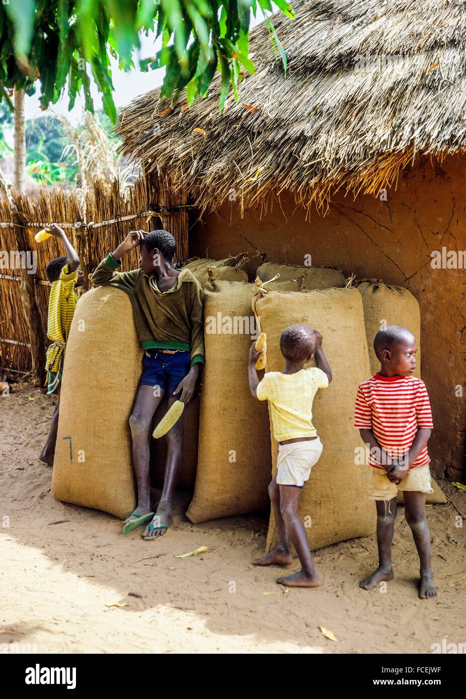 Gambia landmark hi-res stock photography and images - Alamy