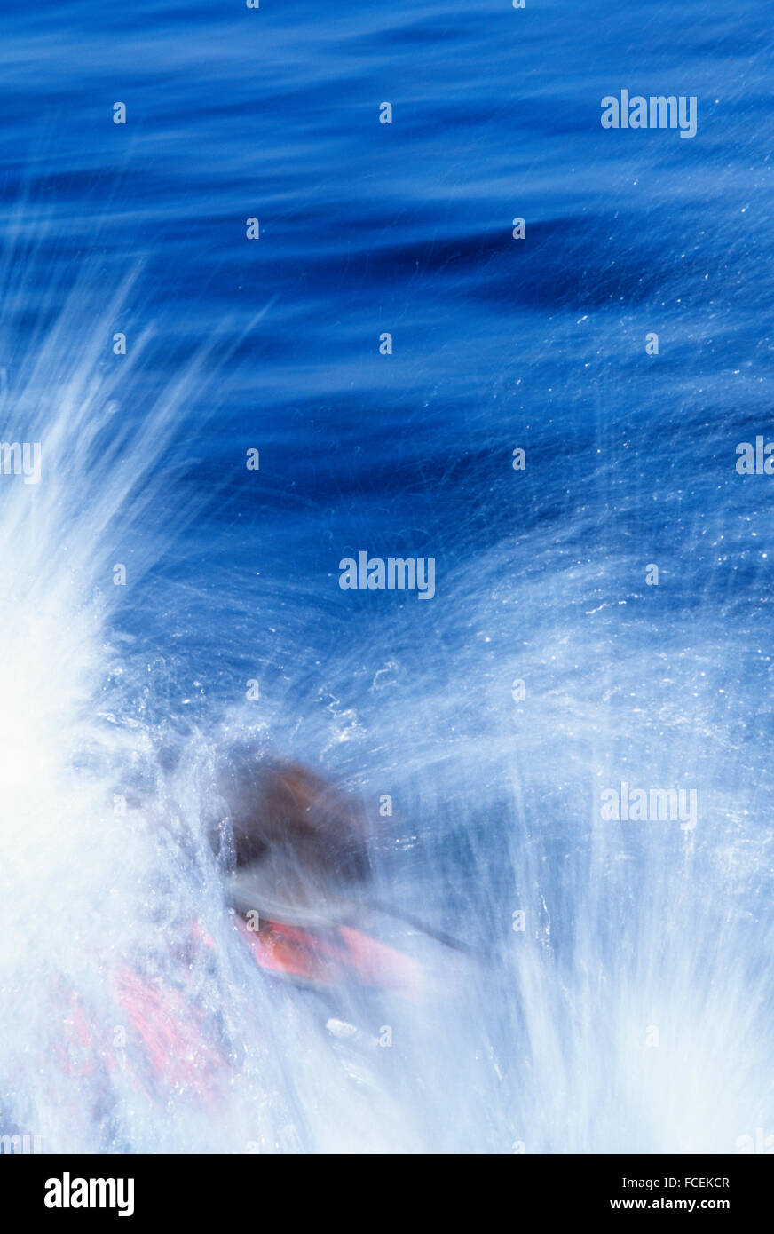 Republic of Palau, Live a board scuba dive operation, blurred action of ...