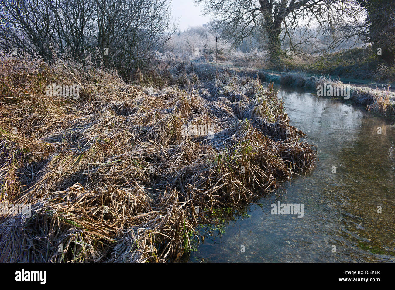 Longparish hi-res stock photography and images - Alamy