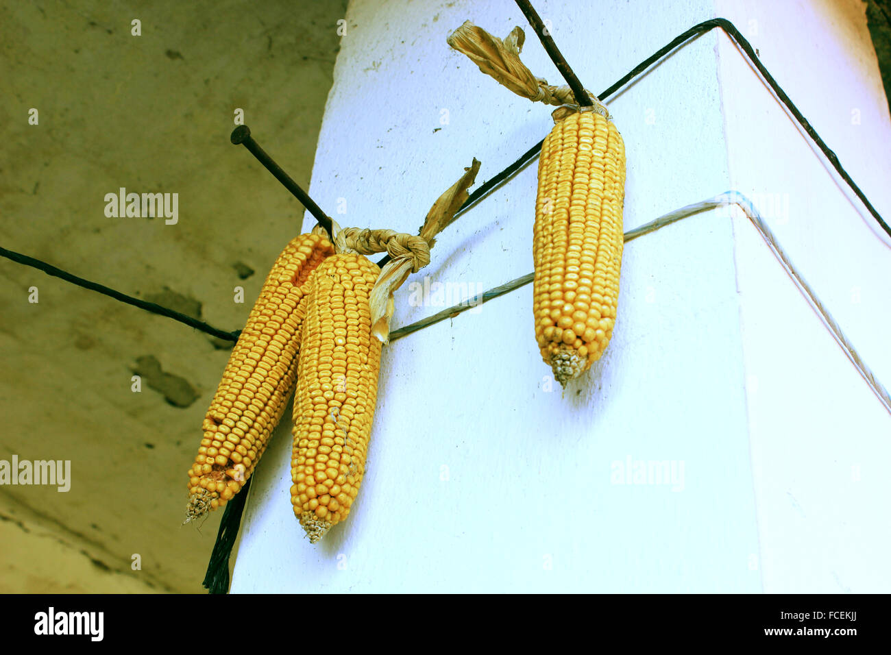 Corn on the cob building hi-res stock photography and images - Alamy