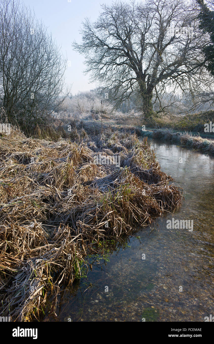 Longparish hi-res stock photography and images - Alamy