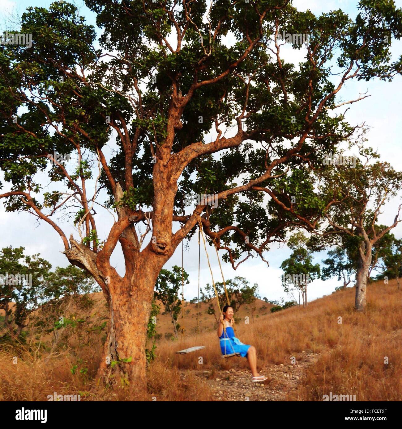 Adult tree swing hi-res stock photography and images - Alamy