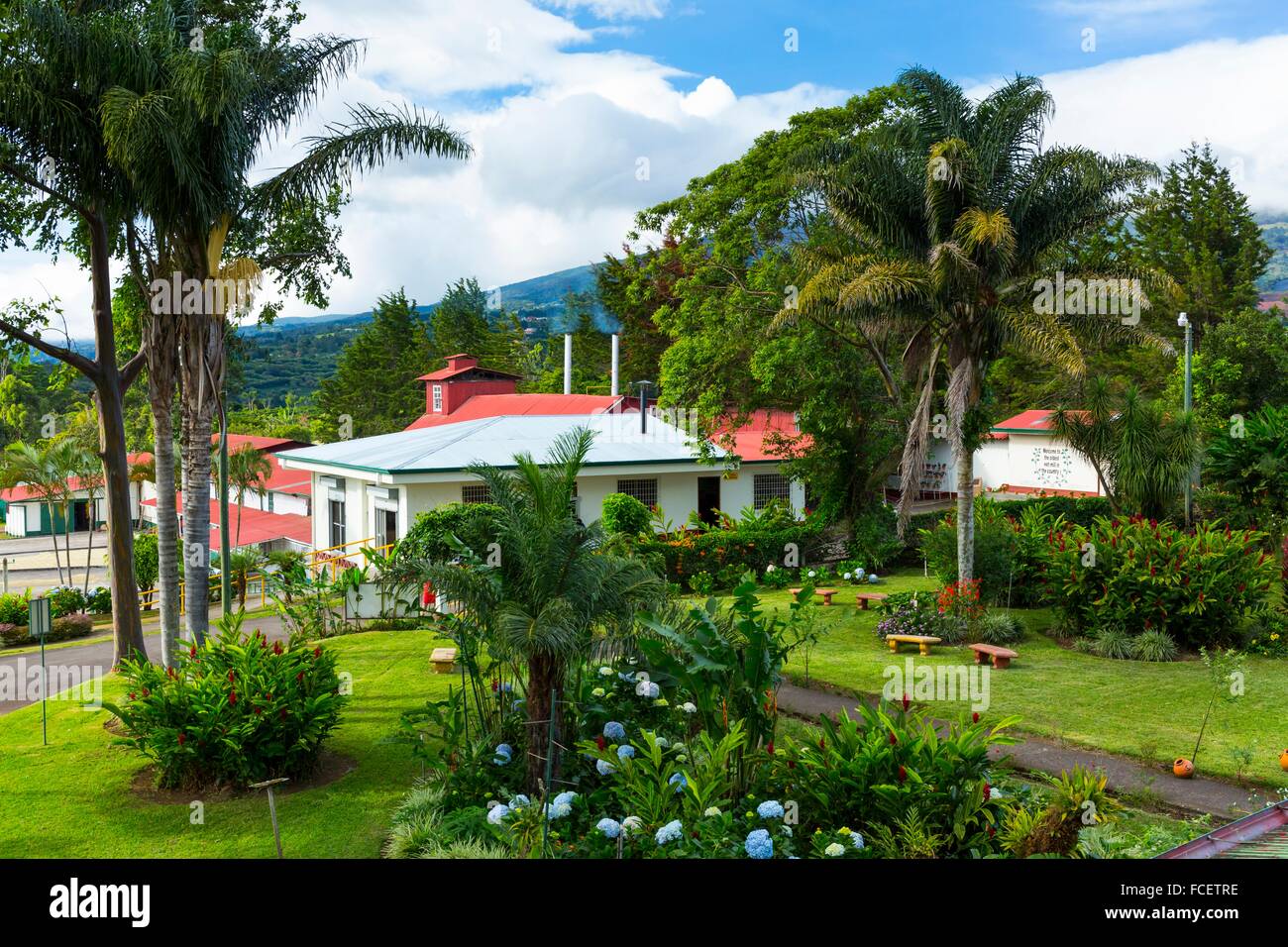 Doka coffee plantation hi-res stock photography and images - Alamy