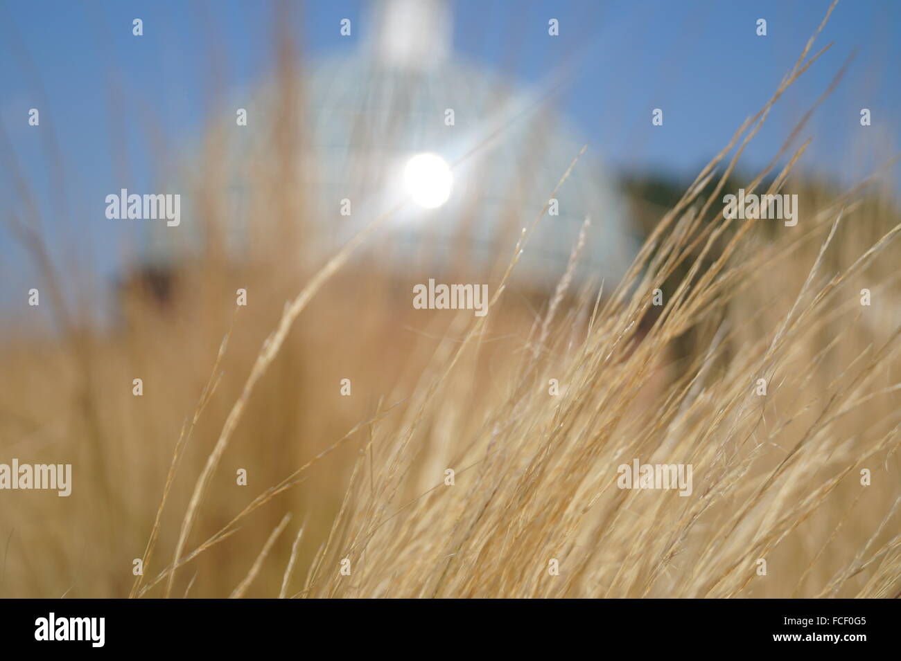 Grass dome hi-res stock photography and images - Alamy