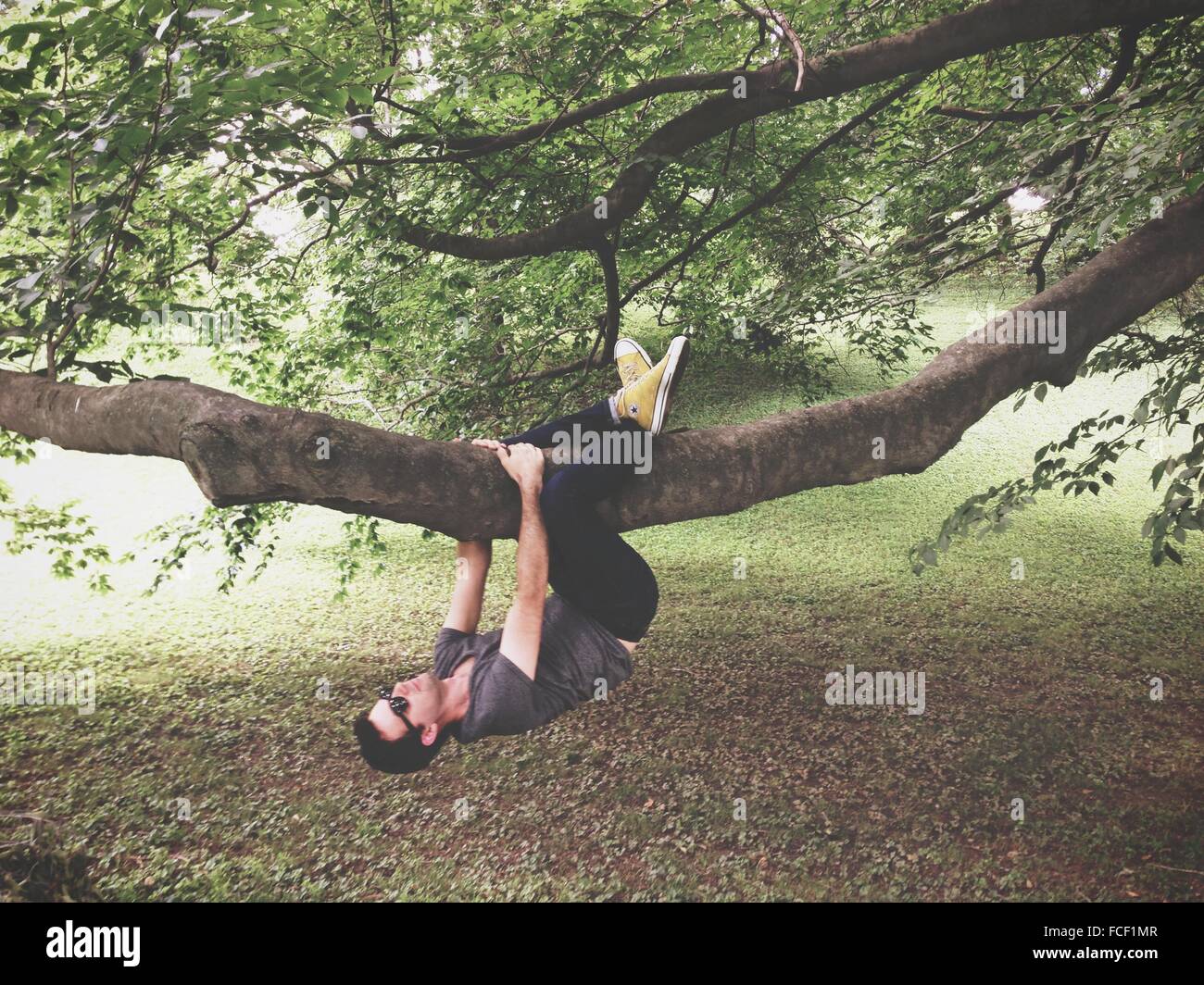 Man Climbing Tree Stock Photo - Alamy