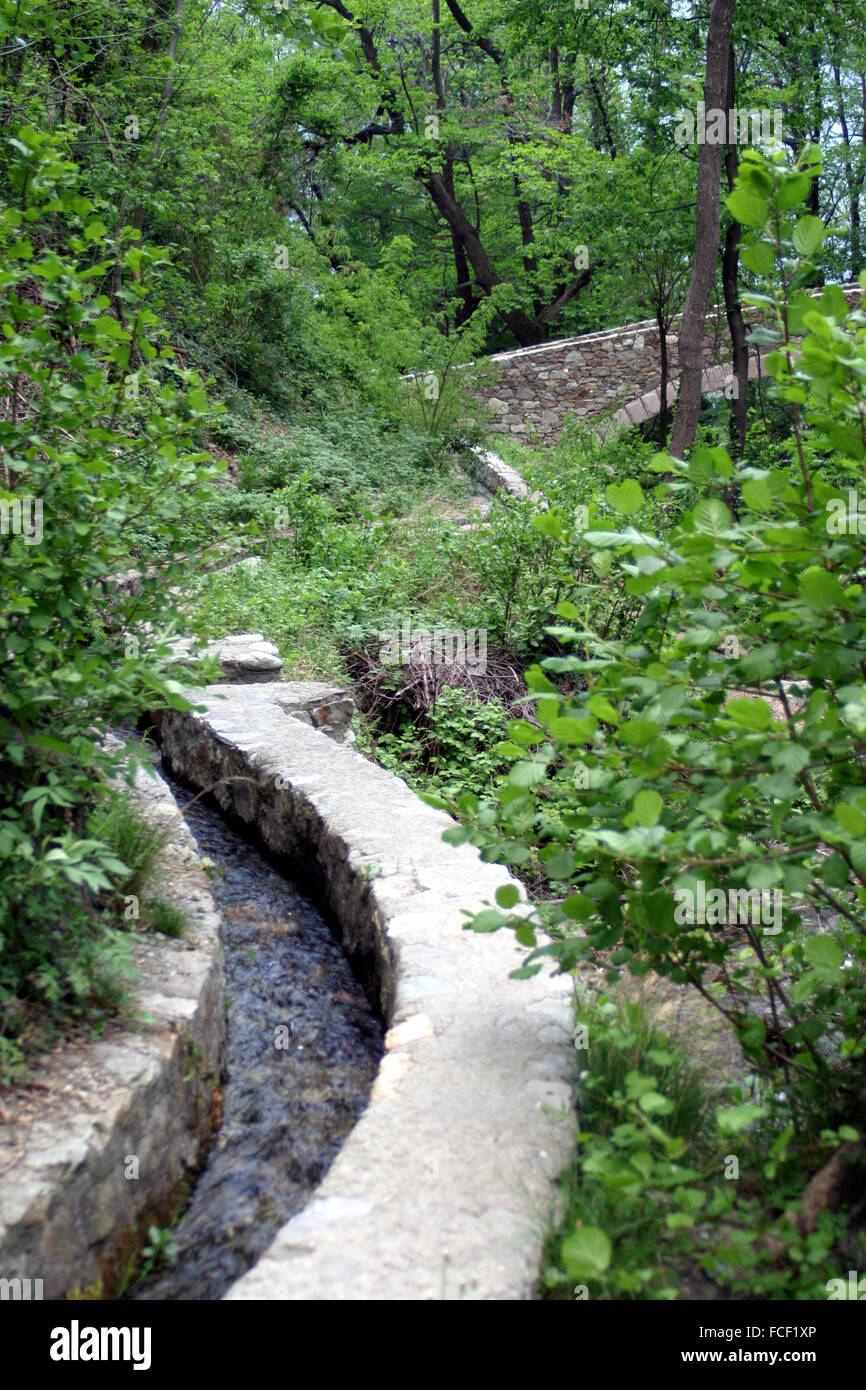 Stone pathway forest High Resolution Stock Photography and Images - Alamy