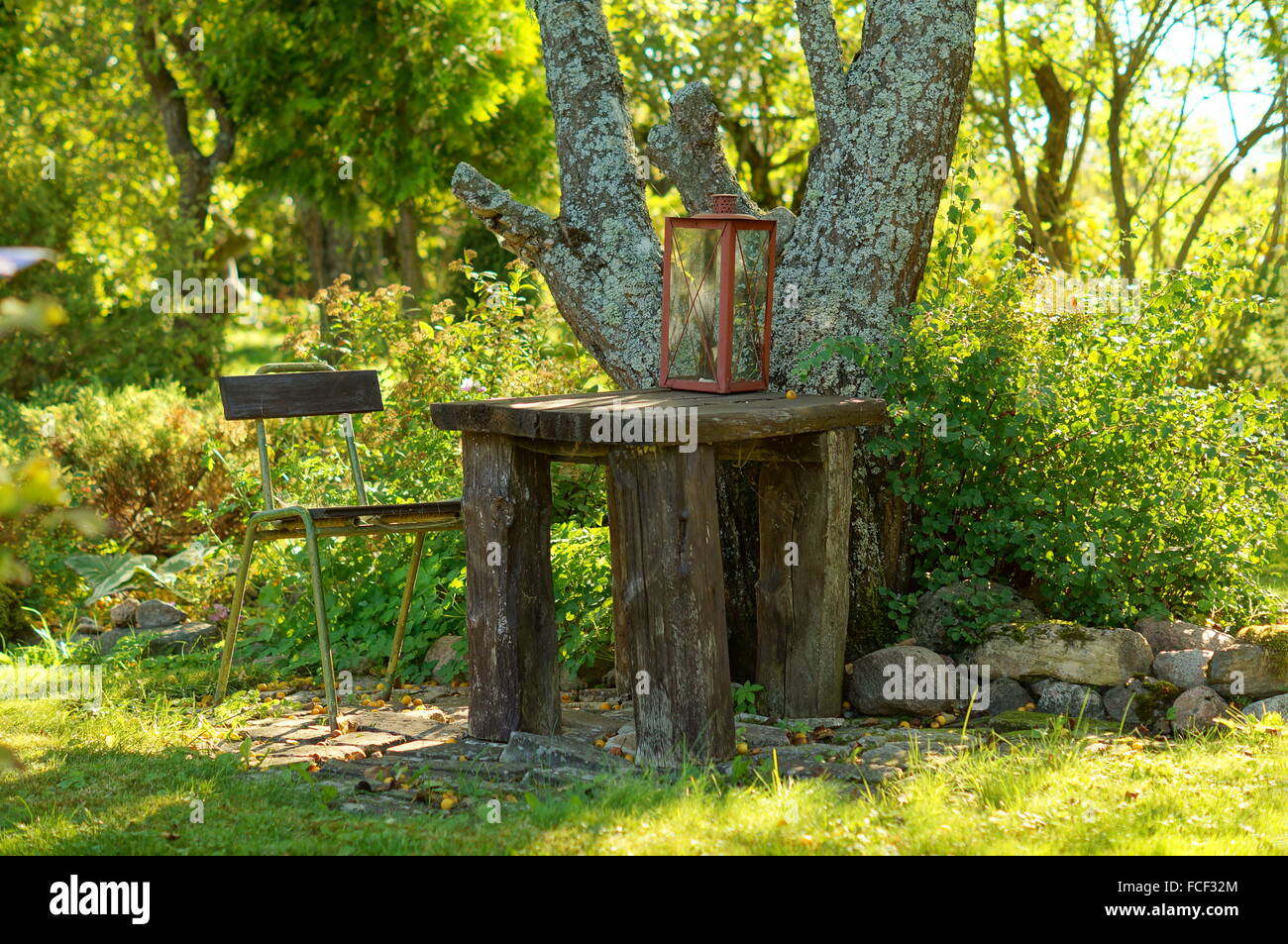 Table chair under tree in hi-res stock photography and images - Alamy