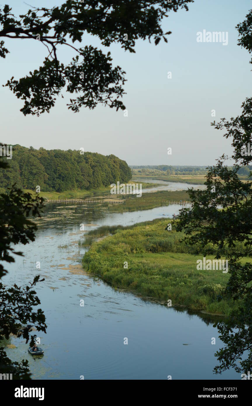 River nature from upside forest Stock Photo - Alamy