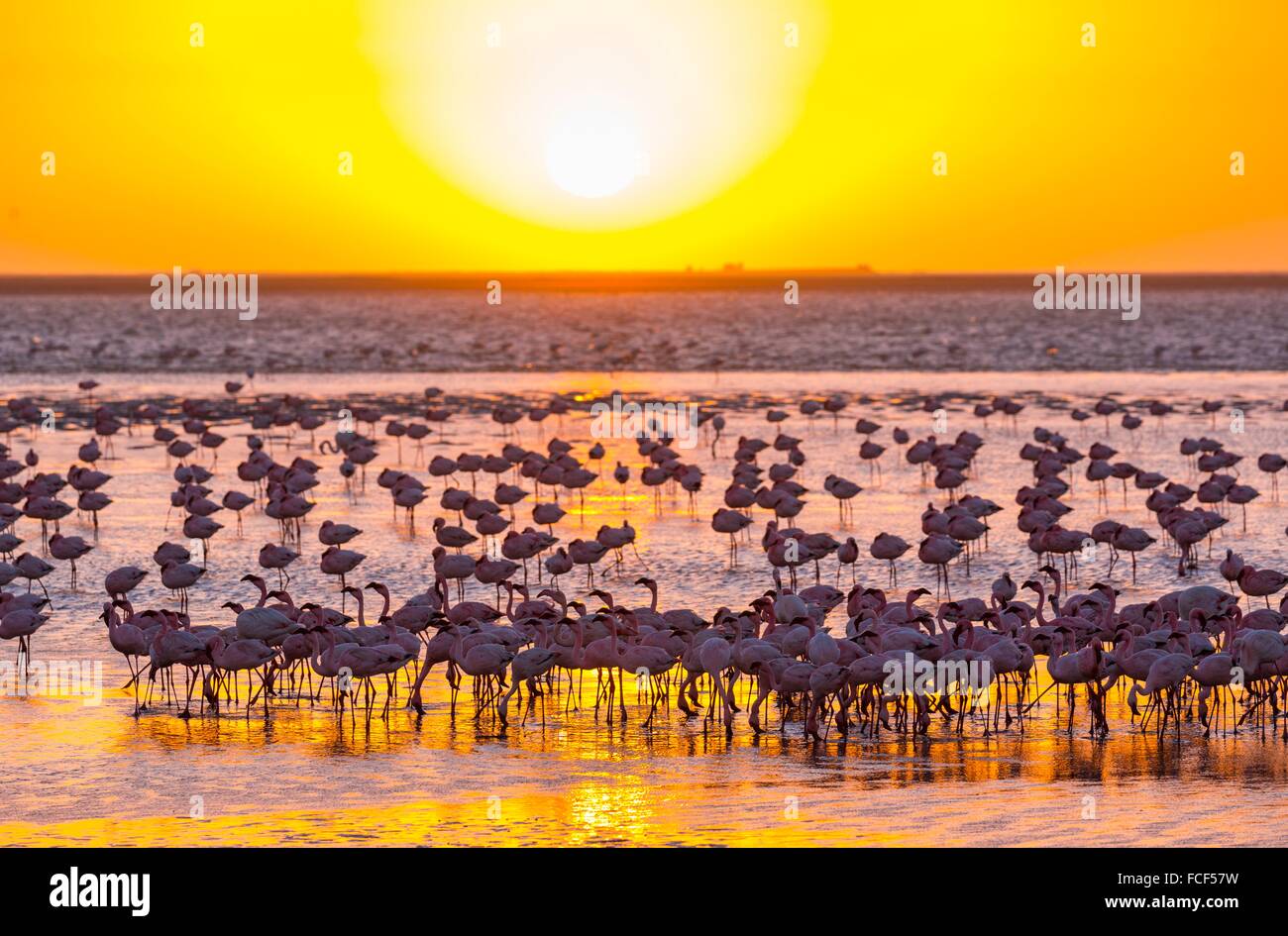 Walvis Bay High Resolution Stock Photography and Images - Alamy