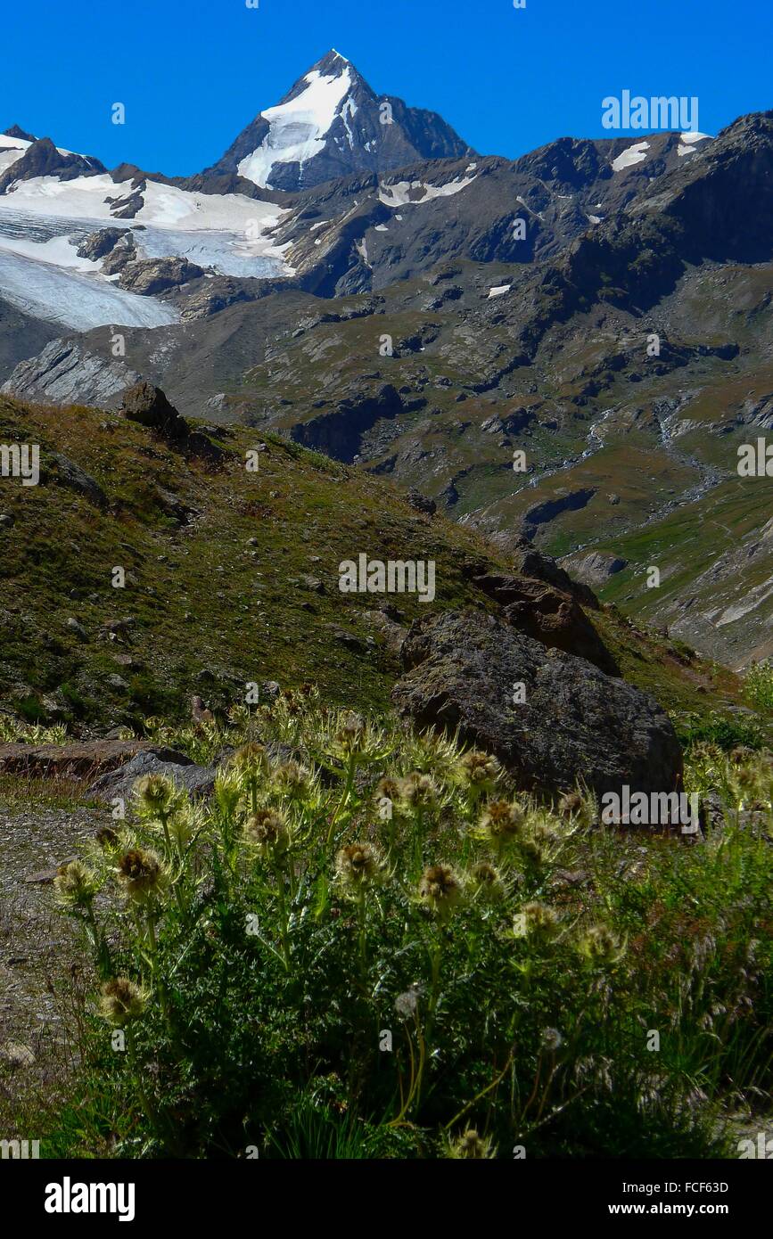 Vordere Rotspitze mountain hike view on the Grand Zebru - August 2015 ...