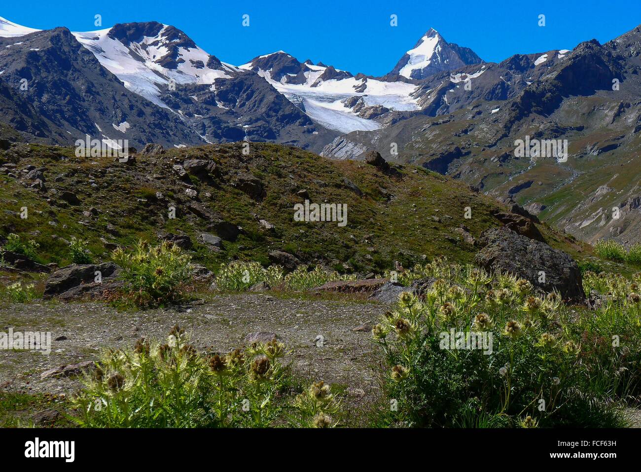 Vordere Rotspitze mountain hike view on the Grand Zebru - August 2015 ...